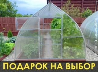 Теплицы из поликарбоната от "Дом Теплиц" с доставкой недорого в Курск