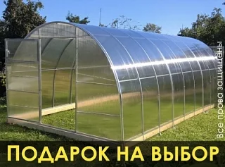 Теплицы из поликарбоната от "Дом Теплиц" с доставкой недорого в Курск