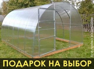 Теплицы из поликарбоната от "Дом Теплиц" с доставкой недорого в Курск